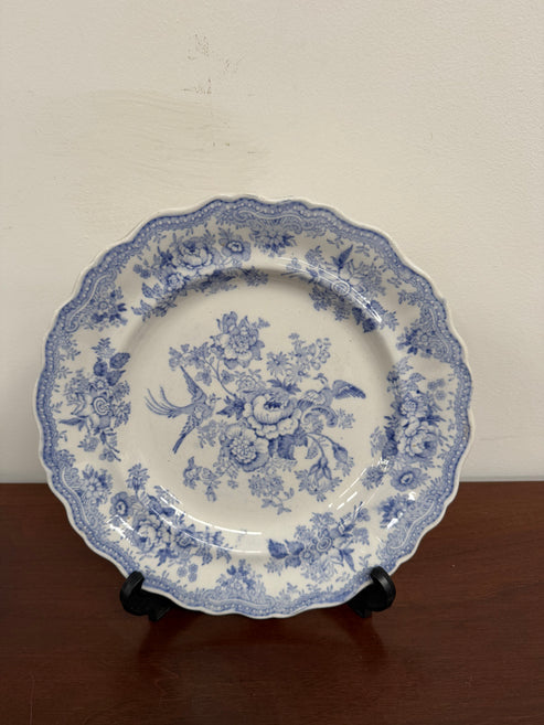 Early Victorian Asiatic Pheasant Plates – Moonee Ponds Antiques